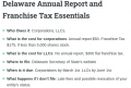 Delaware Annual Report and Franchise Tax - How to Start a Business
